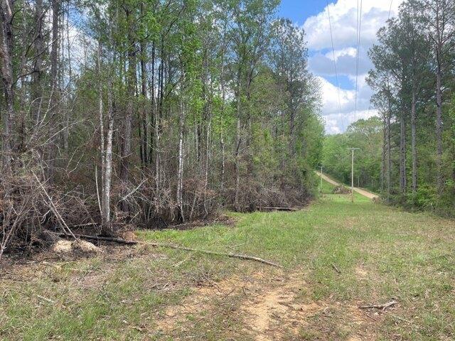 land Liberty MS DS89682960