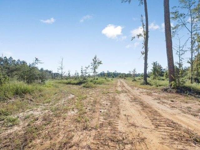 land Liberty MS DS89600631
