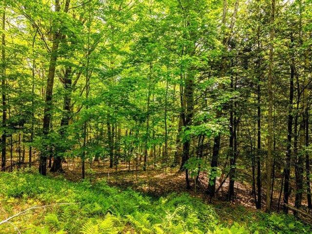 land Lincolnville ME DS104113294