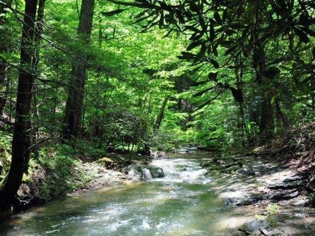 land Lindside WV ES104898496