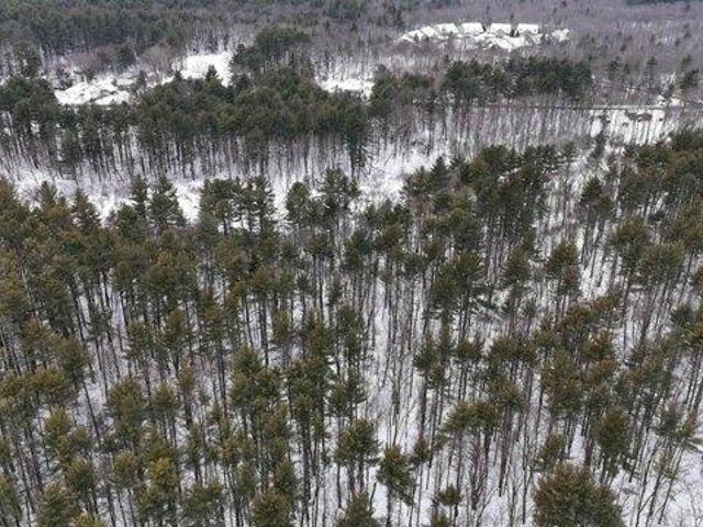 land Litchfield NH DLS102635475