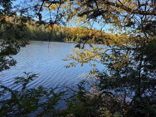 land Littleton ME DLS102280888