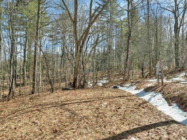 land Littleton NH DLS102154174