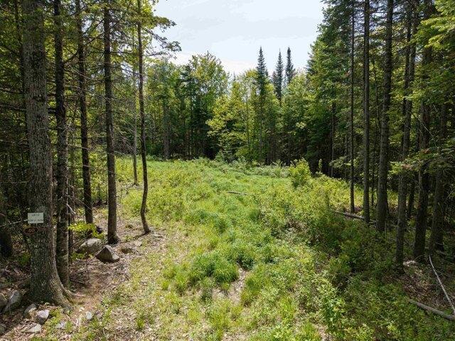 land Littleton NH ES104235784