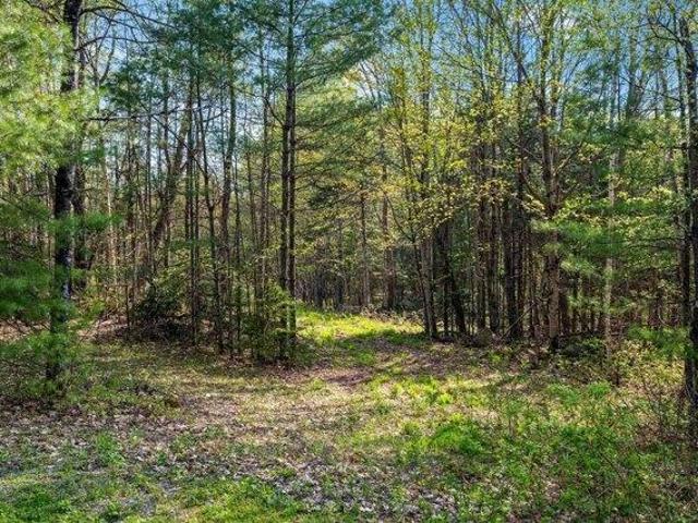 land Littleton NH ES104445043
