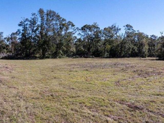 land Live Oak FL DS88301952