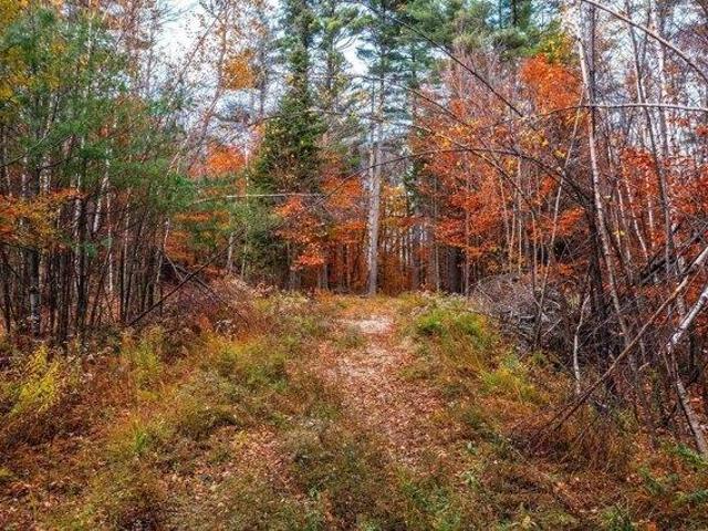 land Londonderry VT DLS101747821