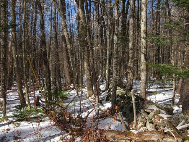land Londonderry VT ES102828566