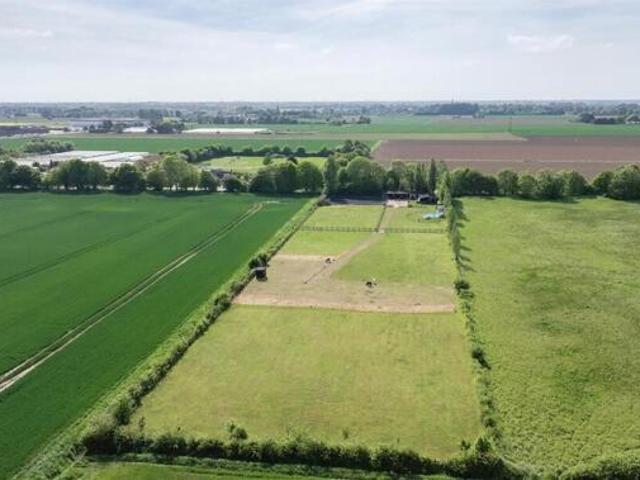 Land Long Sutton Long Sutton 99290547
