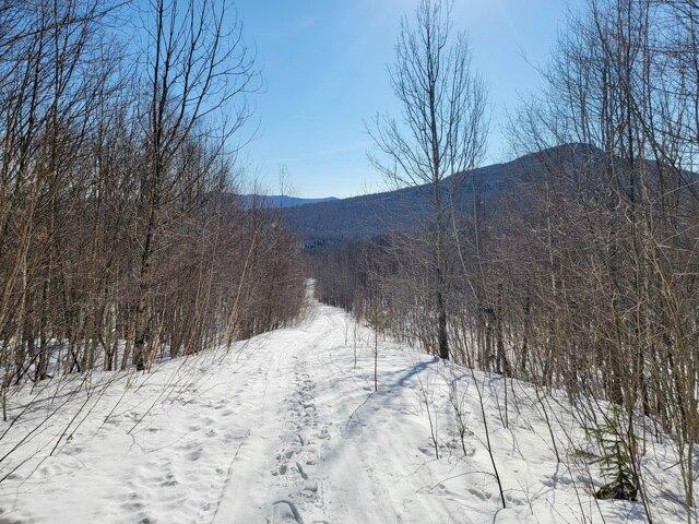 land Lowell VT DS101896047