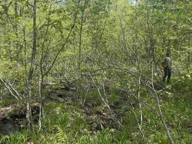 land Lowell VT ES104481355