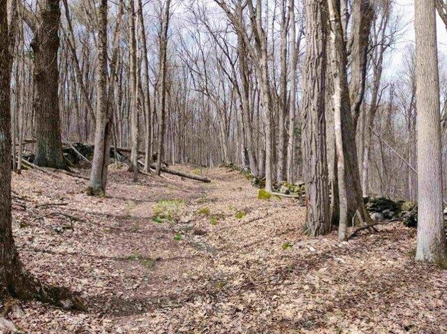 land Putney VT DLS101658021