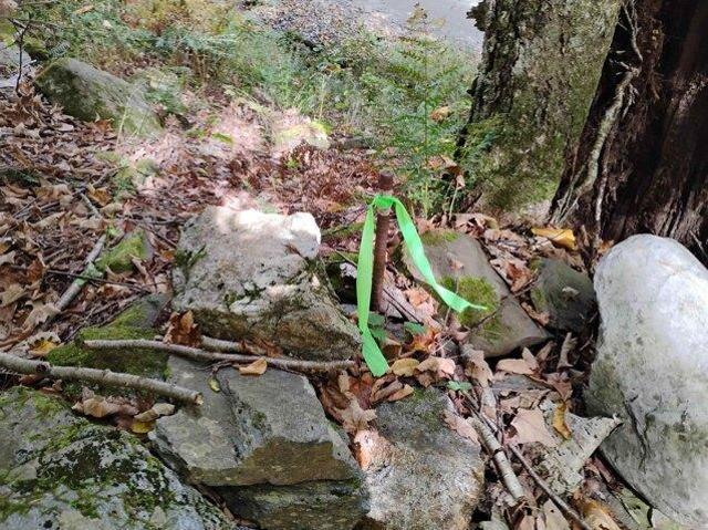 land Putney VT DLS102064533