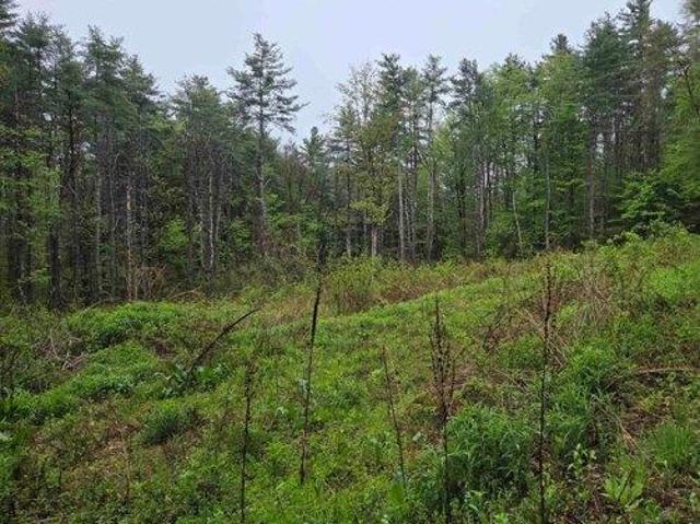 land Putney VT DS104008565