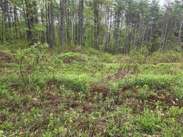 land Putney VT ES104008565