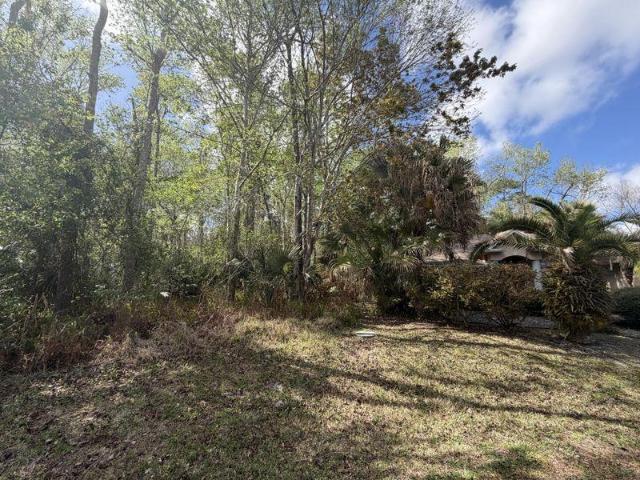 land Palm Coast FL ES101012237