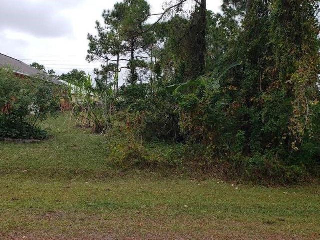 land Palm Bay FL ES101011838