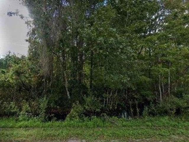 land Palatka FL ES104898763