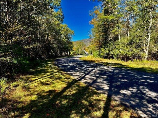land Palenville NY ES104902924