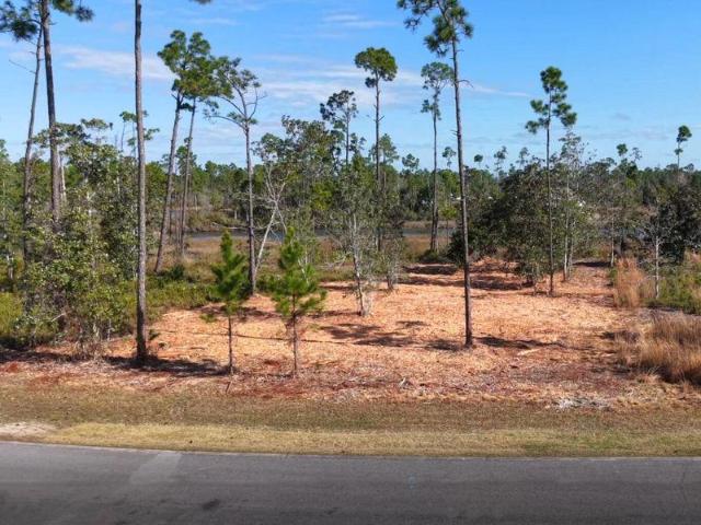land Panama City FL DLS101012230
