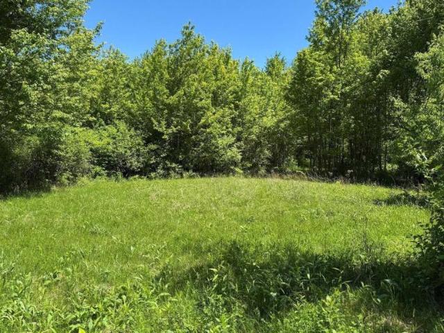 land Parcel 1 NY DLS102018886