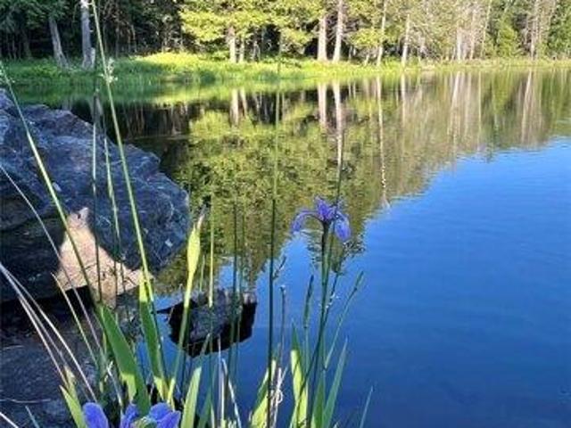 land Parksville NY DS103624738