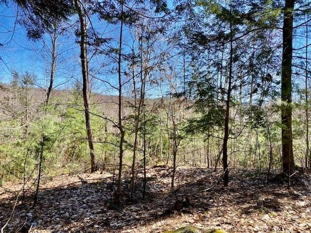 land Parsonsfield ME DS103125534