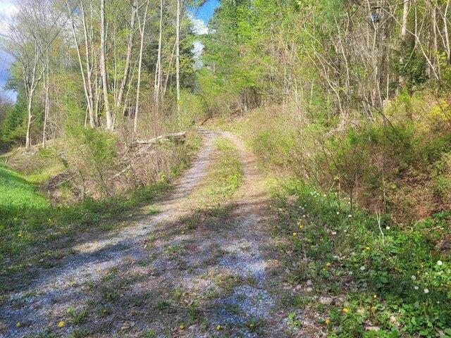 land Pawlet VT ES105142500