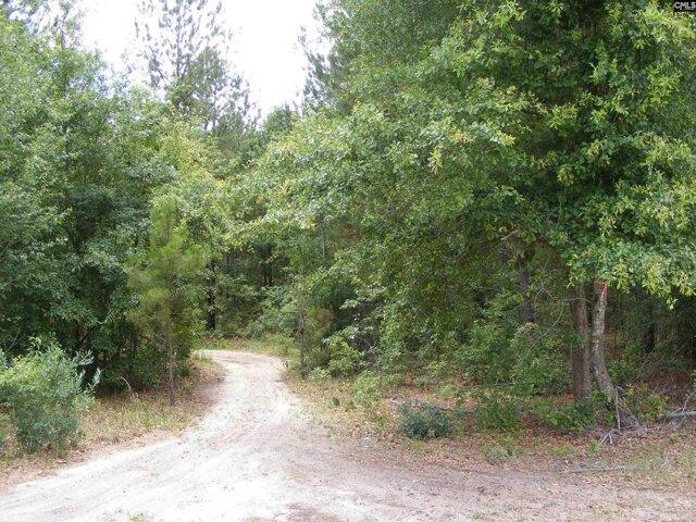 land Pelion SC DLS91666697