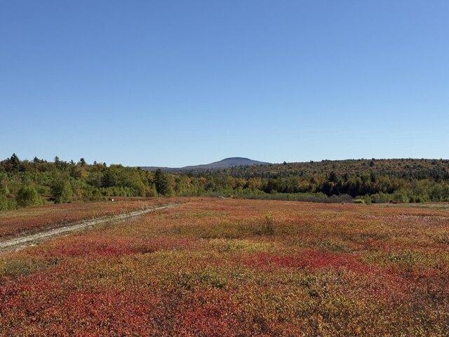 land Penobscot ME DLS101998355