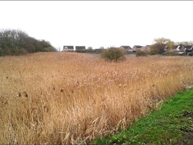 Land Peterborough Cambridgeshire LS101677032