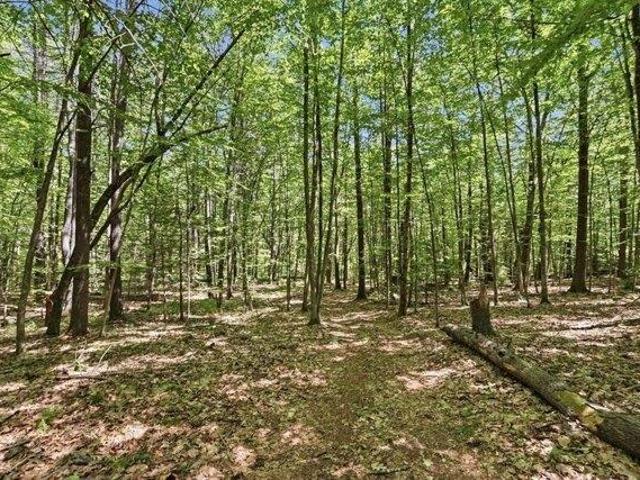 land Petersham MA ES103808356