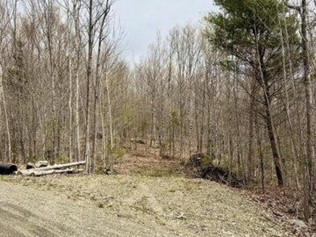 land Phillips ME DS102583233