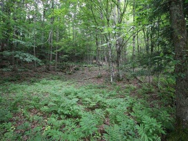 land Pittsfield VT DS101999145