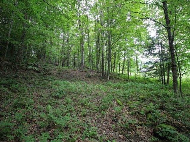 land Pittsfield VT ES105591115