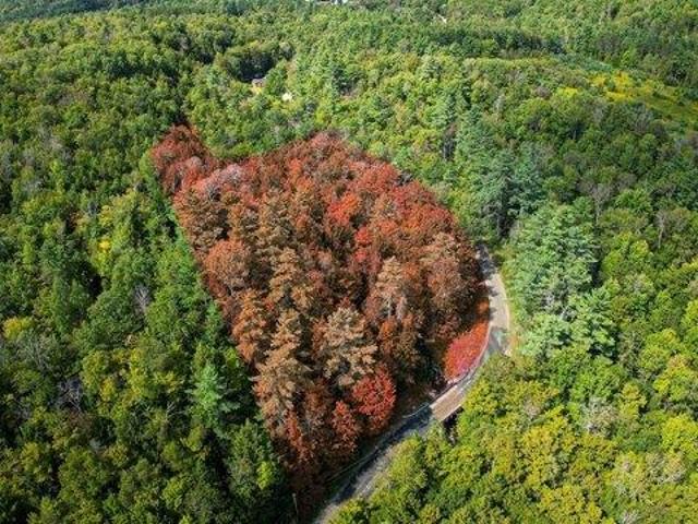 land Plainfield NH DS103074197