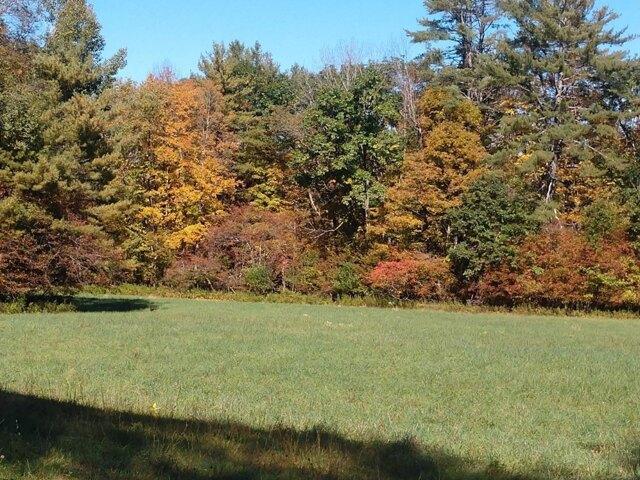 land Plainfield NH DS104266617