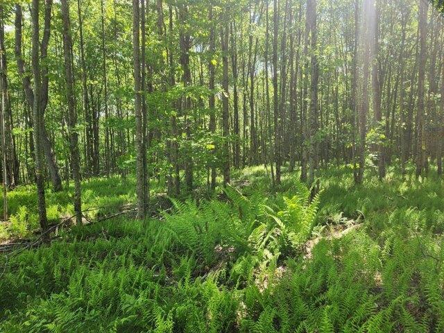 land Plymouth NY ES103621539