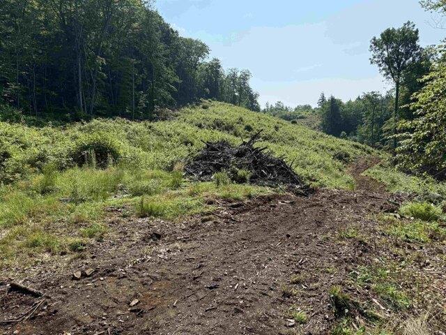 land Plymouth NH DS102724791