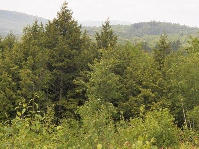 land Plymouth NH ES103187695