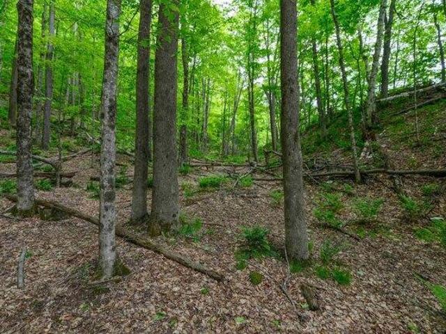 land Plymouth VT DS102026937