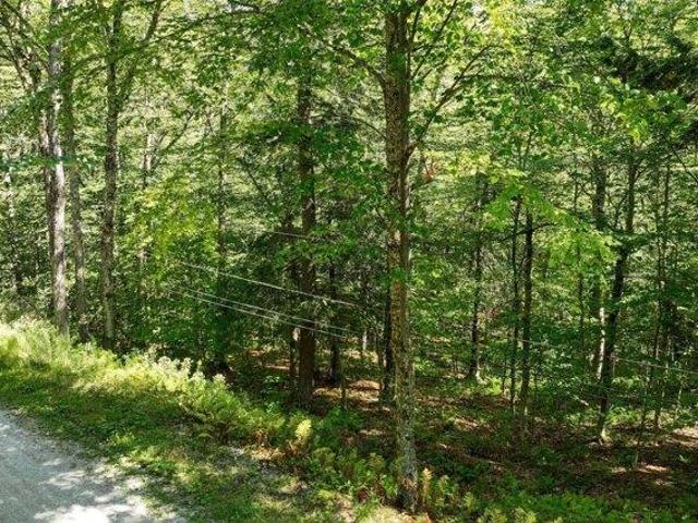 land Plymouth VT DS102157485