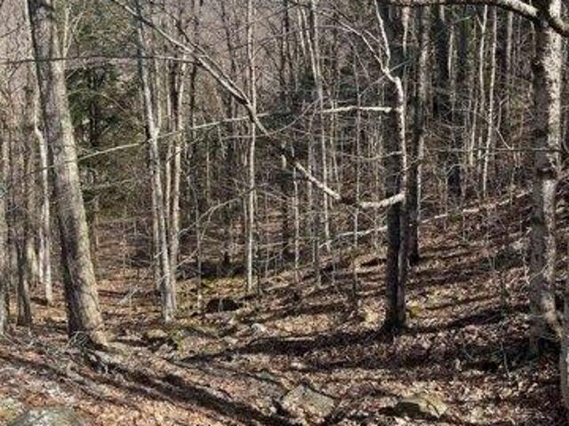 land Plymouth VT ES104009824