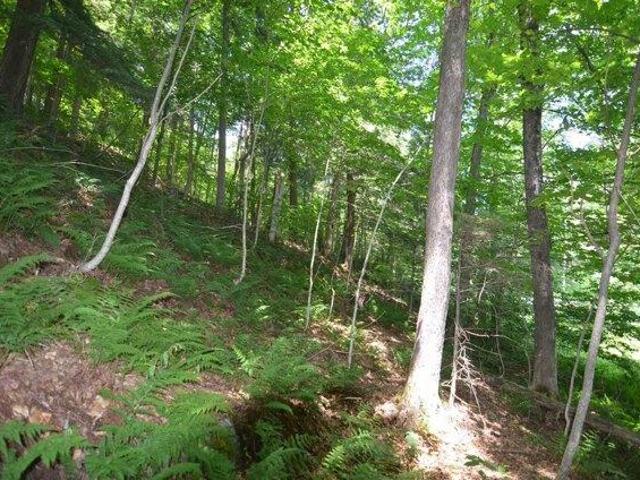 land Plymouth VT ES105174515