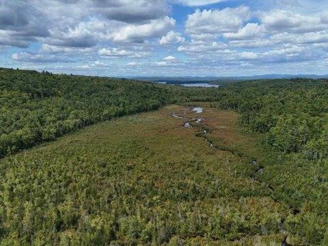 land Poland ME DLS102158604