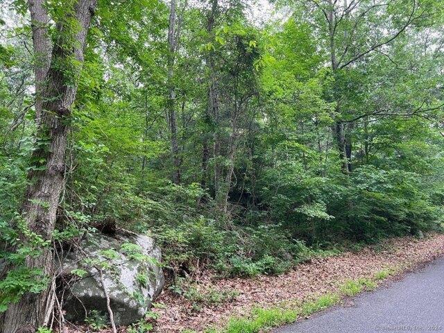 land Portland CT DS102529413