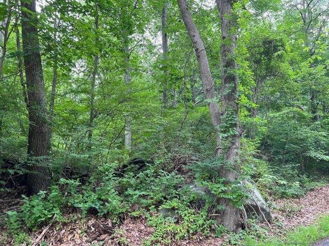 land Portland CT DS103098598