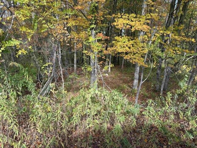 land Pownal VT DLS102216934