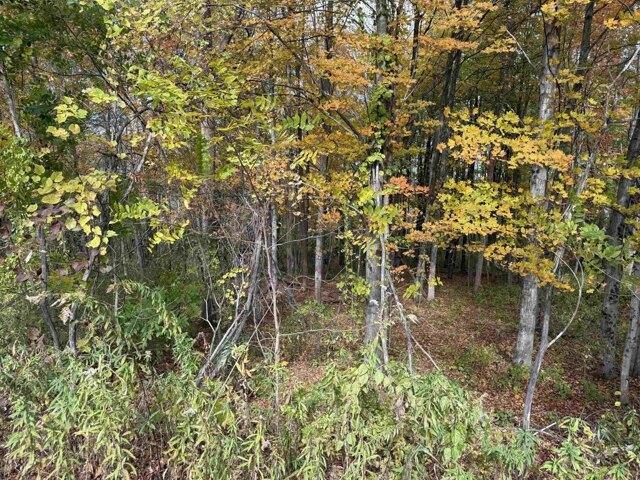 land Pownal VT ES104567003