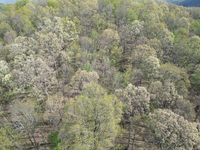 land Procious WV DS103625805